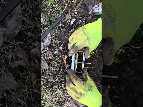 MOLE REAPER MOLE TRAP – Mole Reaper™